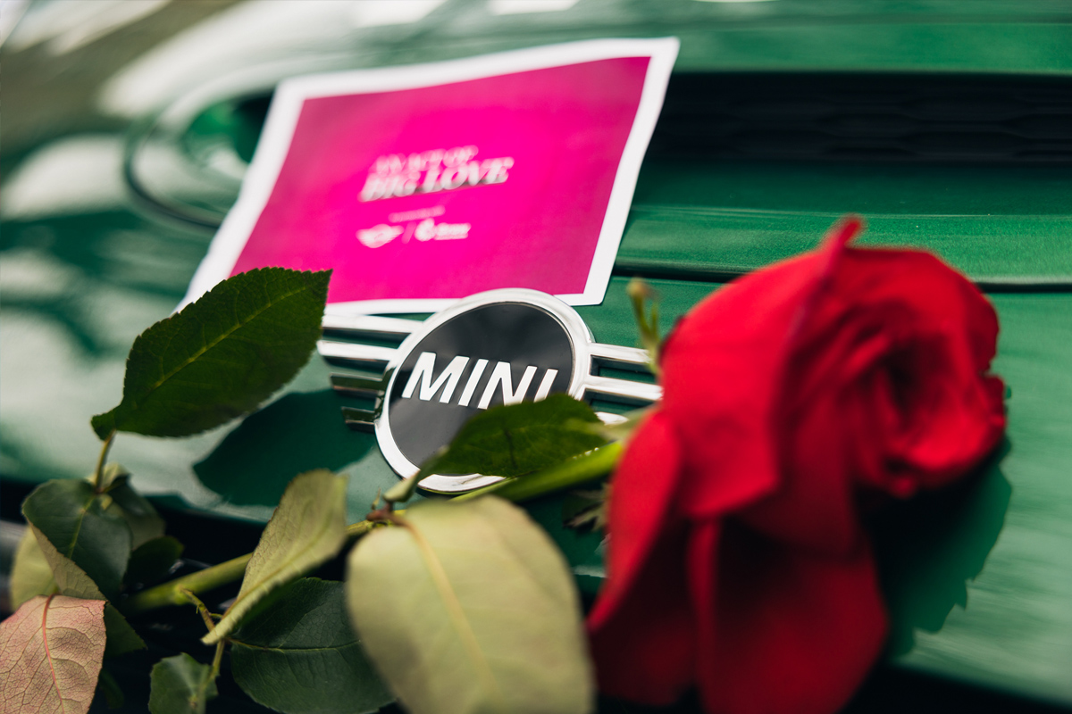 Grow Mental Health Partnership | MINI IE